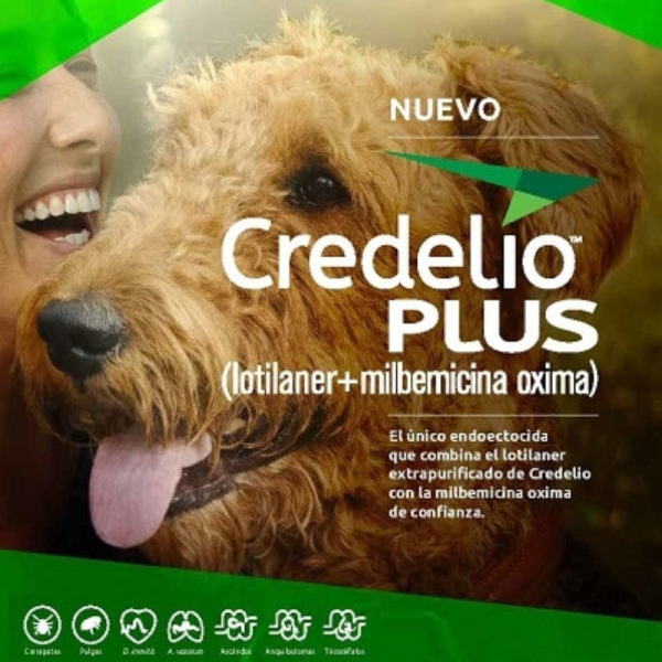 Credelio Plus - Maskoticas CR